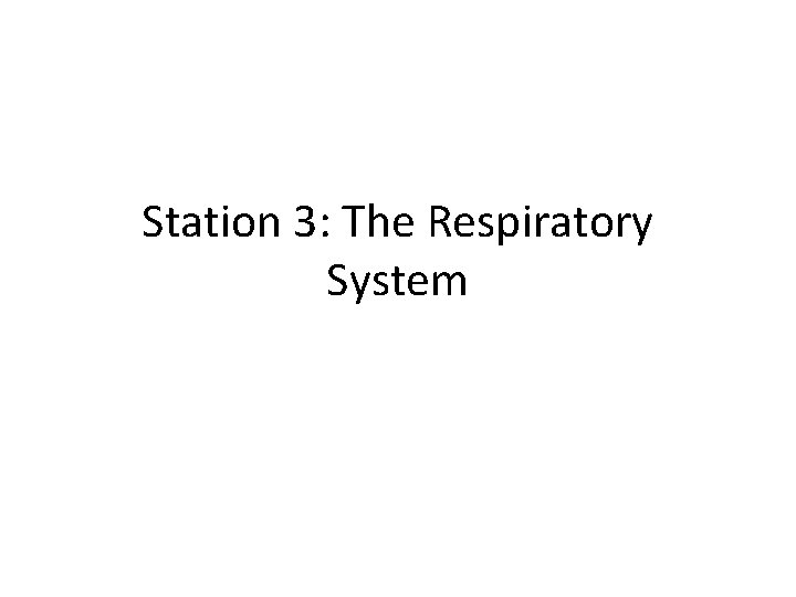 Station 3 The Respiratory System Directions As a