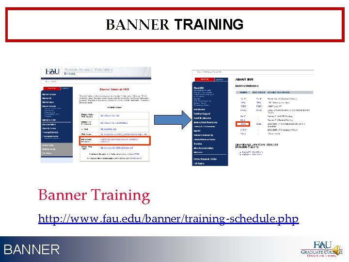 Tutorial Banner Access and Use for Faculty and