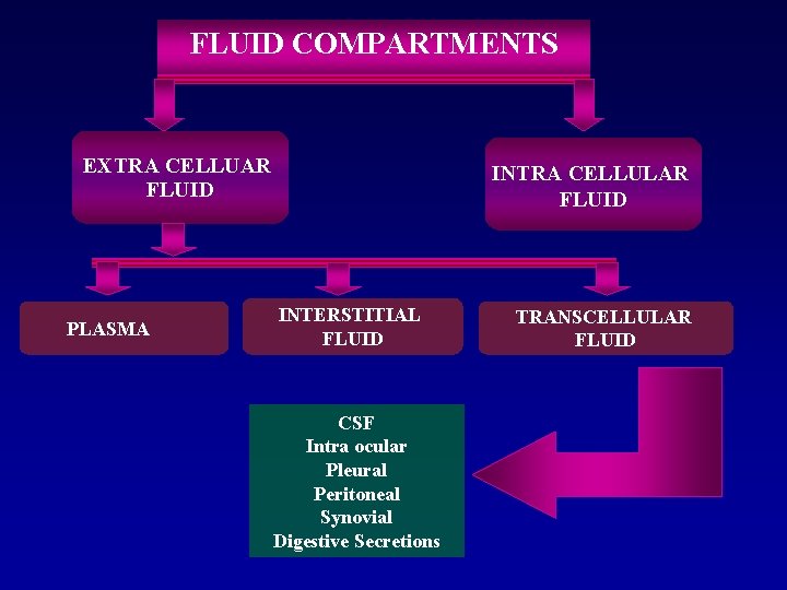 Homeostasis Maintenance of relatively stable internal environment Body