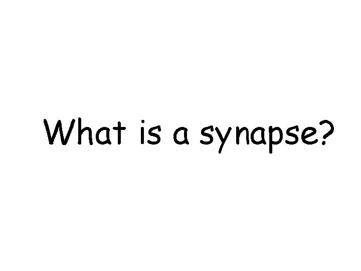 What is a synapse A synapse is the