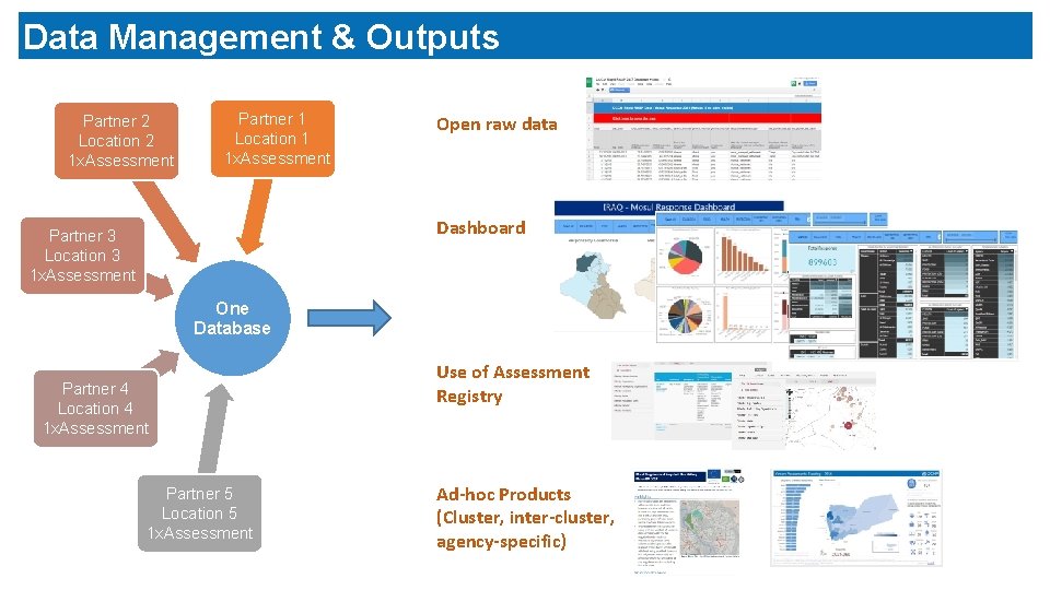 The Rapid Needs Assessment tool in the Mosul