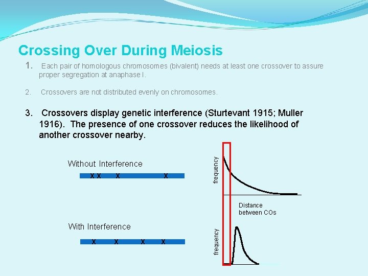 Properties of Interference and Noninterference Crossover Pathways in