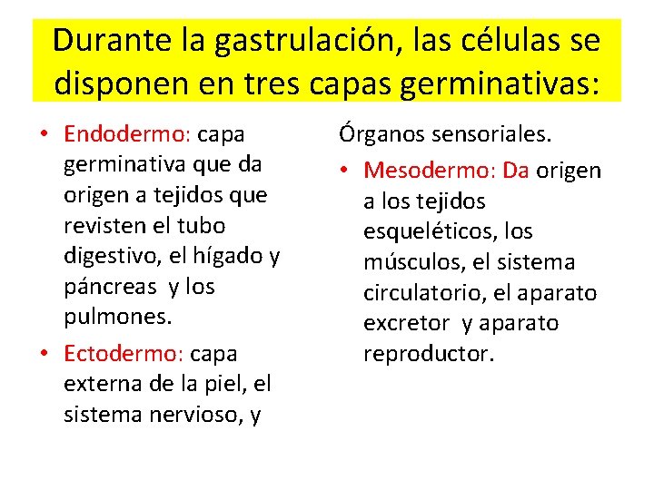 GASTRULACIN Es el proceso de migraciones celulares por