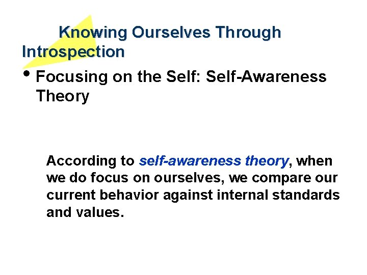 Chapter 5 SelfUnderstanding How We Come to Understand
