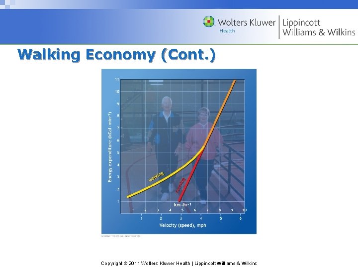 Chapter 8 Energy Expenditure During Rest and Physical