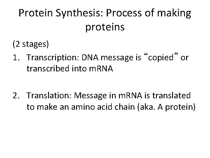RNA Intro to Protein Synthesis NOTES 12 RNA