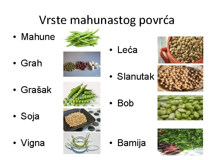 Mahunasto i korjenasto povre Uloga i znaenje mahunastog