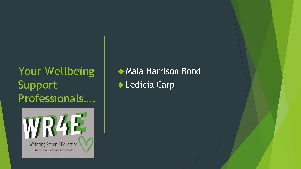 Wellbeing Return 4 Education Dr Maddi Popoola Nottingham