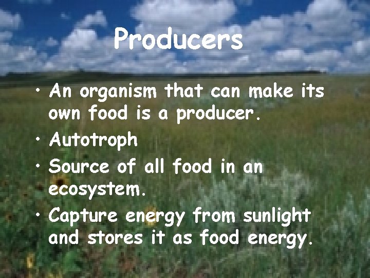 Food Chains and Food Webs Energy Flow in