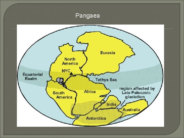 Table of Contents Title Chapter 17 Plate Tectonics