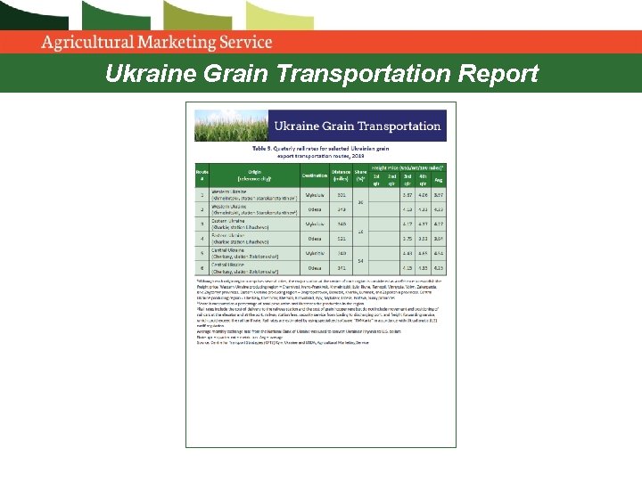 Ukraine Grain Transportation Delmy Salin Senior Economist Transportation
