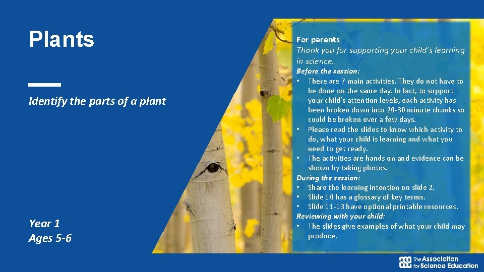 Plants Identify the parts of a plant Year