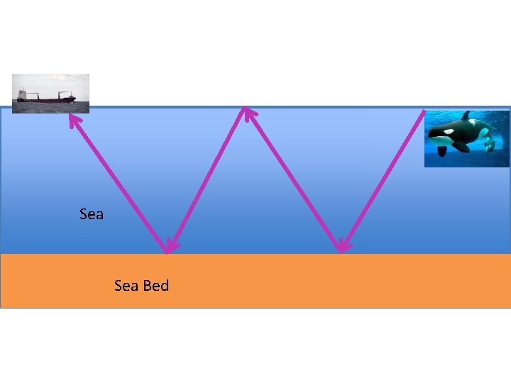 Maths Saves the Whales Chris Budd OBE Who