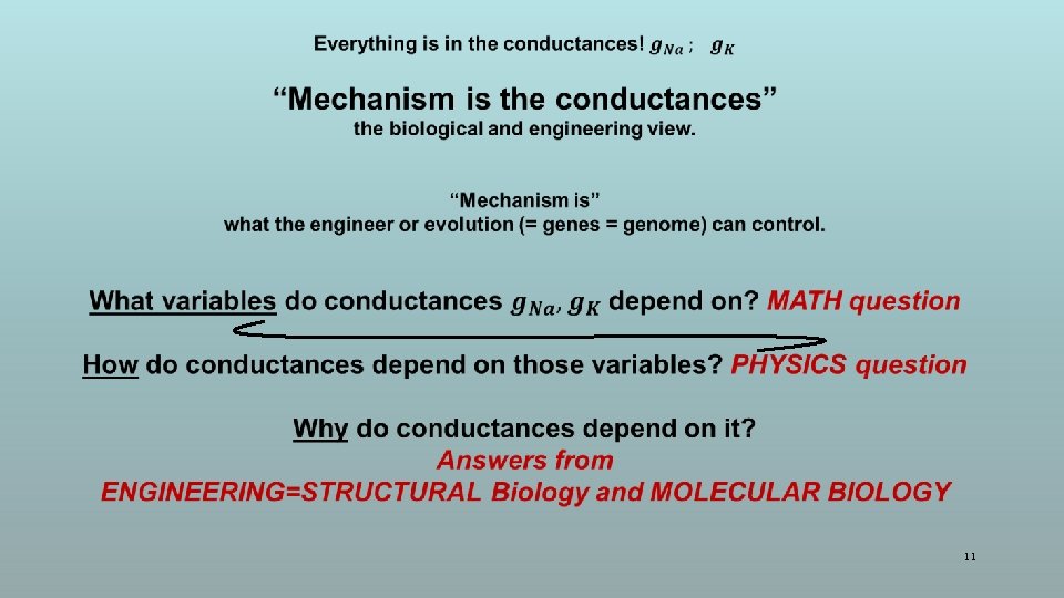 Hodgkin Huxley Equation Bob Eisenberg Lectures at Illinois