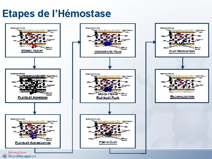 HEMOSTASE et HEMOSTATIQUES TOPIQUES cole IBODE APHP Paris