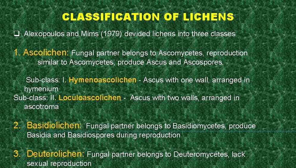 LICHENS PRATIVA DEKA ASSOCIATE PROFESSOR DEPT OF BOTANY