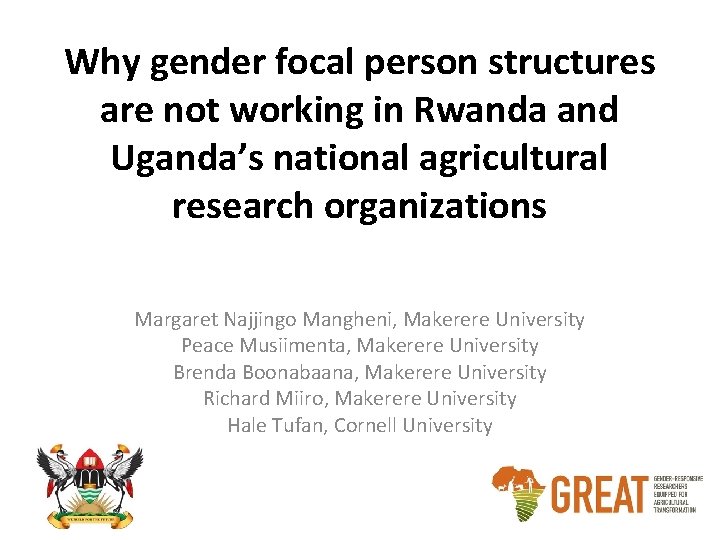 Why gender focal person structures are not working