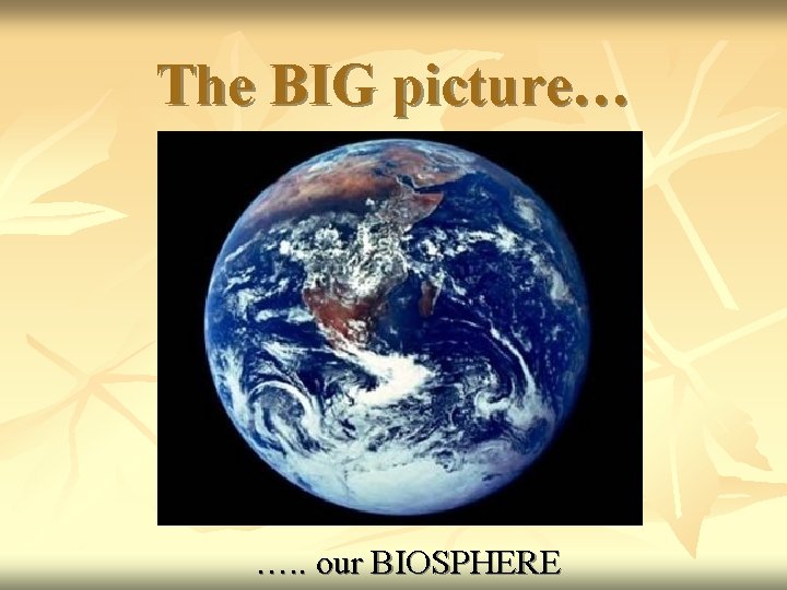 The BIG picture our BIOSPHERE REDUCE REUSE RECYCLE