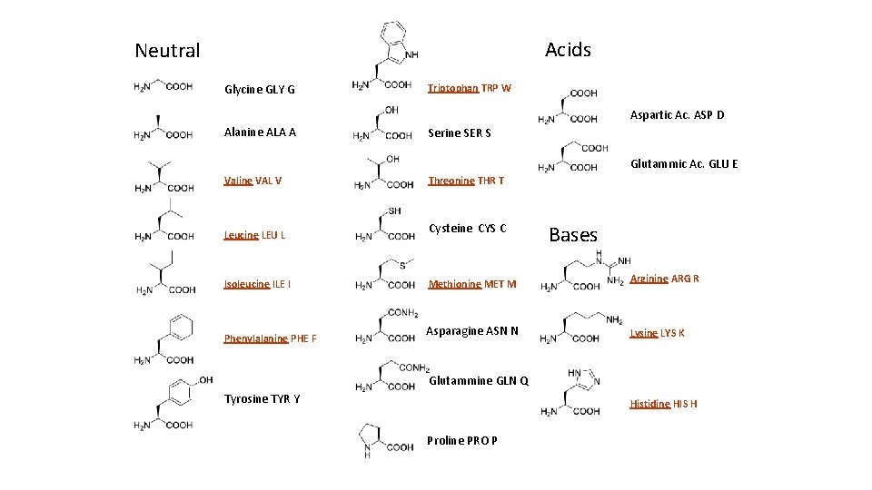 Structure and Properties of Amino Acids Peptides Proteins