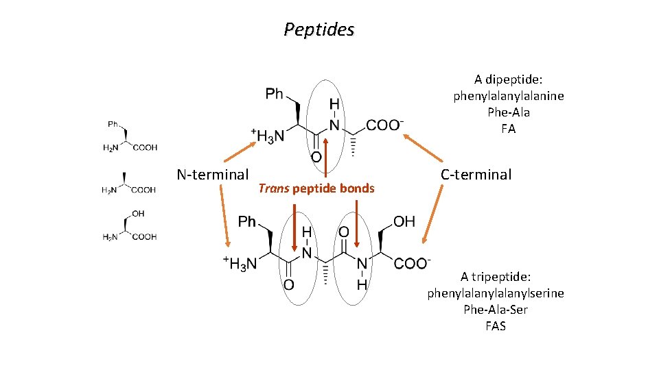 Structure and Properties of Amino Acids Peptides Proteins