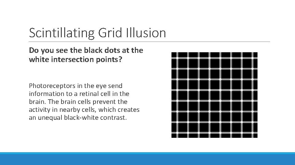 Illusions in Color BY EMMA SUNDERLAND HENNA FRAIMAN