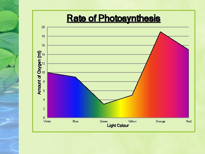 Group 1 Light Colours and Photosynthesis Which colour