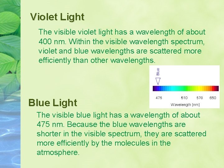 Group 1 Light Colours and Photosynthesis Which colour