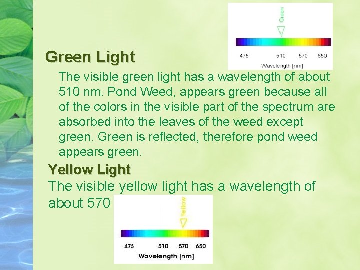 Group 1 Light Colours and Photosynthesis Which colour