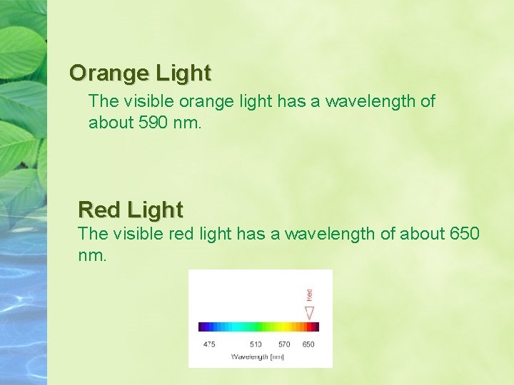 Group 1 Light Colours and Photosynthesis Which colour