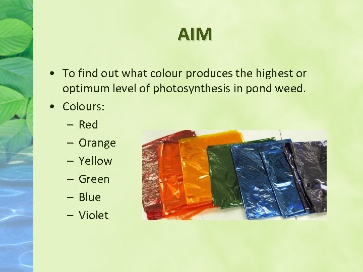 Group 1 Light Colours and Photosynthesis Which colour