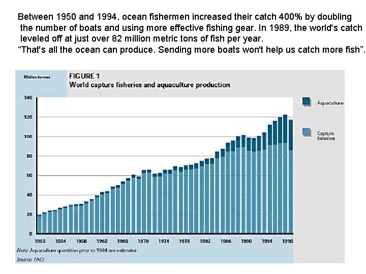 Harvesting the Sea Commercial fishing and its effects