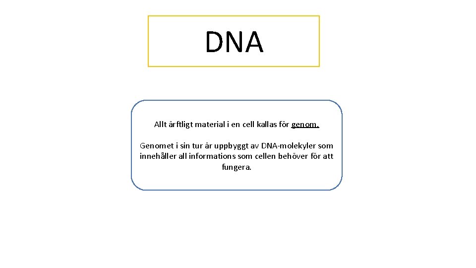 DNA Allt rftligt material i en cell kallas