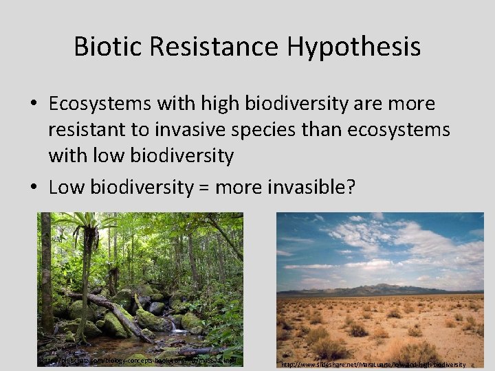 Invasion Biodiversity and Conservation What Are They and