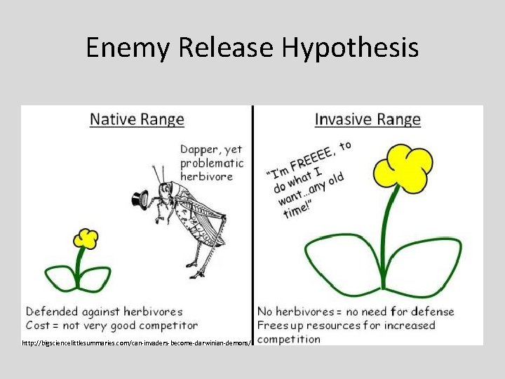 Invasion Biodiversity and Conservation What Are They and