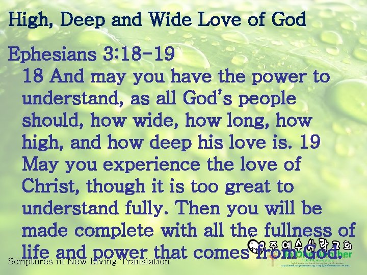 High Deep and Wide Love of God Ephesians