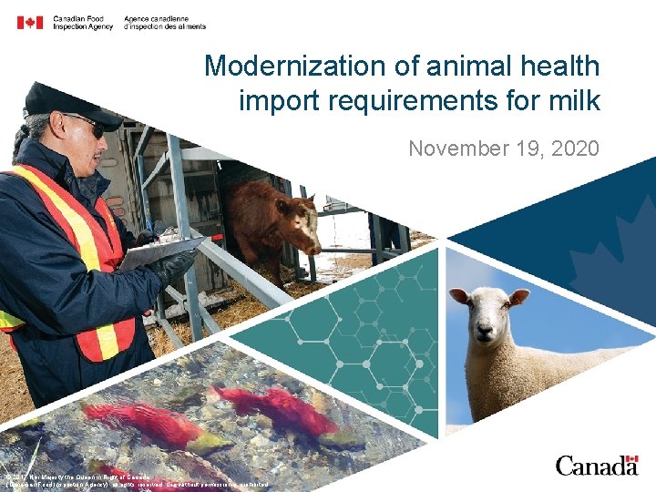 Modernization of animal health import requirements for milk