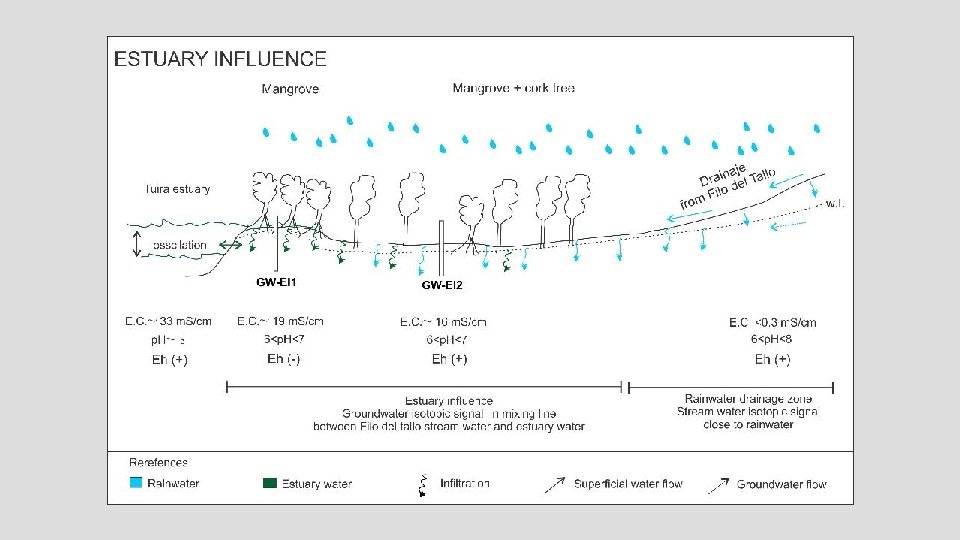 REAS PROTEGIDAS Y RECURSOS HDRICOS Indra Candanedo Universidad