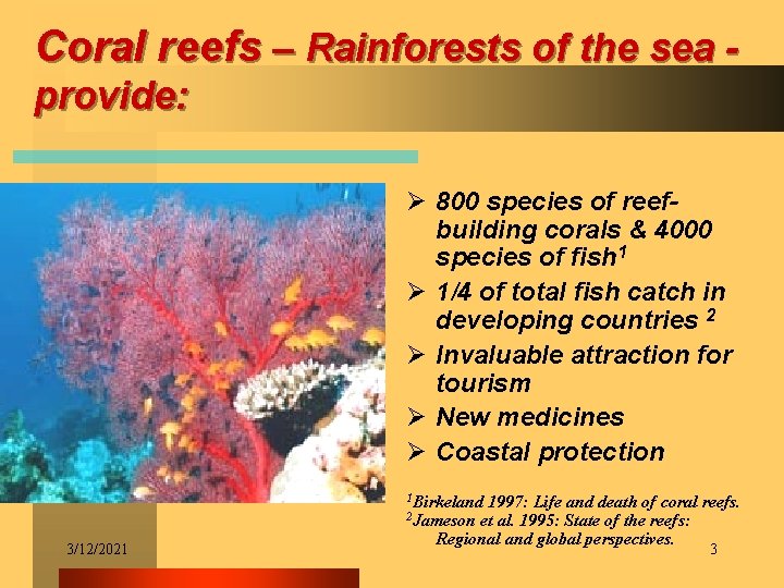 Ecotourism saving coral reefs What can make it