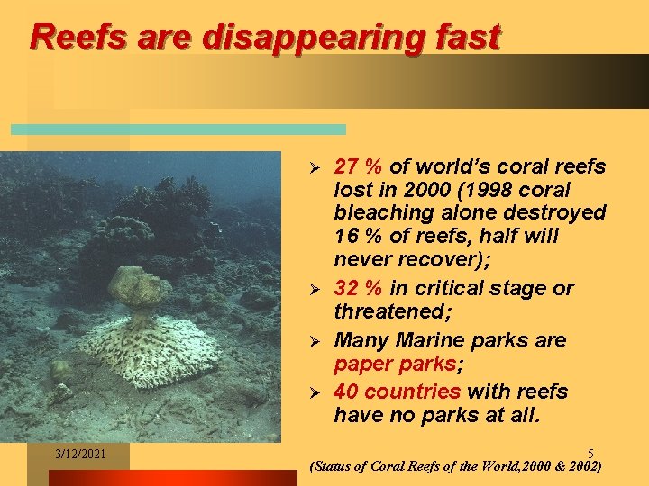 Ecotourism saving coral reefs What can make it