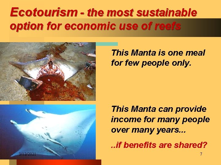 Ecotourism saving coral reefs What can make it