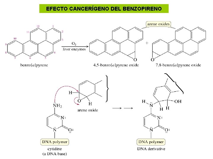 BENCENO ENERGA DE RESONANCIA AROMATICIDAD 4 N2 NAFTALENO