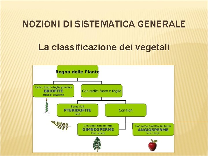 NOZIONI DI SISTEMATICA GENERALE La classificazione dei vegetali