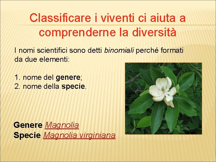 NOZIONI DI SISTEMATICA GENERALE La classificazione dei vegetali