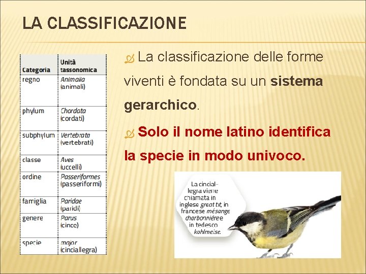 NOZIONI DI SISTEMATICA GENERALE La classificazione dei vegetali