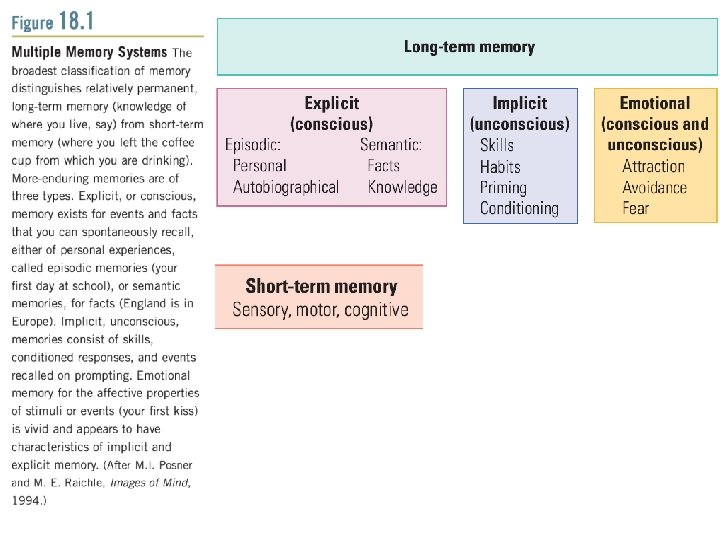 10 26 HM patient and Brenda Milner https