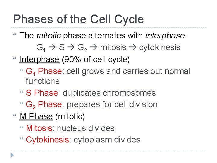 Ch 12 Cell Cycle Mitosis AP Bio Warm