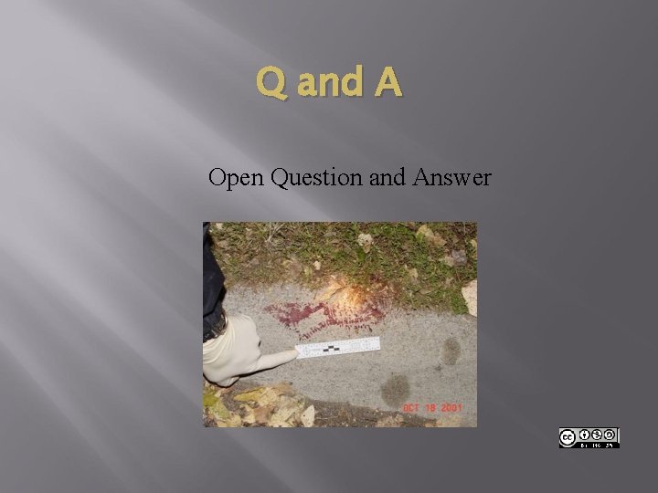 THE CRIME SCENE People Involved Safety Awareness What