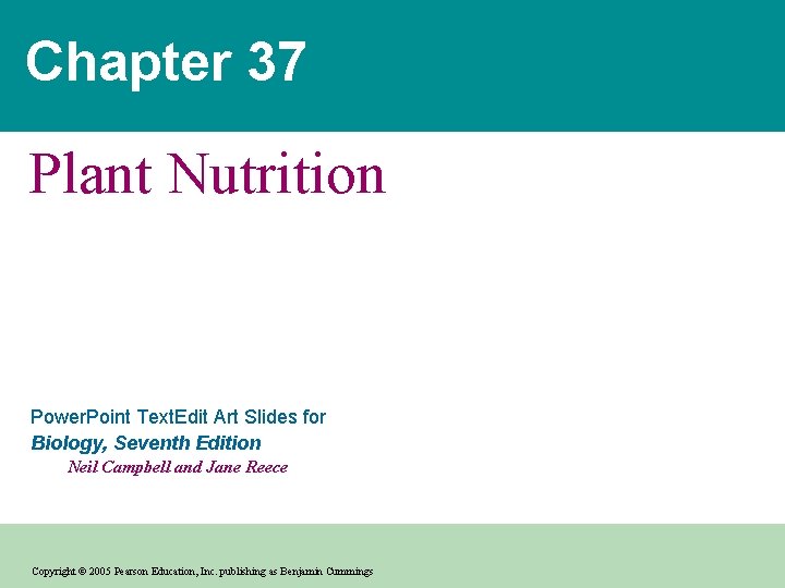 Chapter 37 Plant Nutrition Power Point Text Edit
