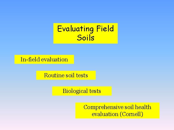 Evaluating Field Soils Infield evaluation Routine soil tests
