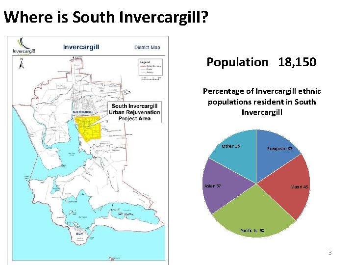 South Invercargill a vibrant and diverse community that